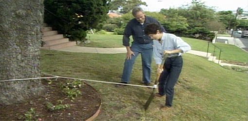 How to Dig a Circle Around a Tree - Today's Homeowner
