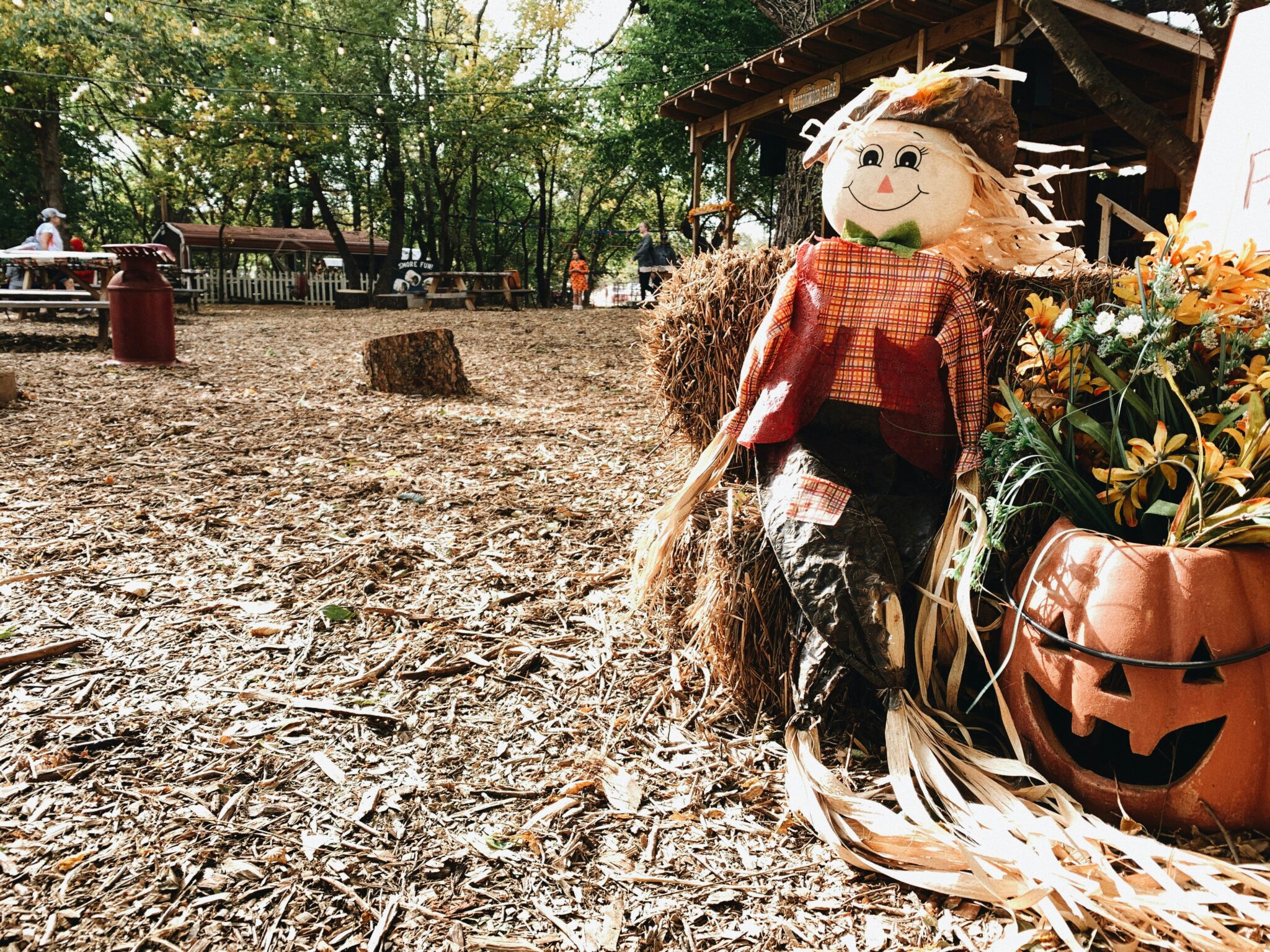 Do Scarecrows Really Work? (2024) | Today's Homeowner