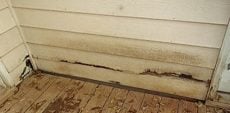 Replacing Rotten Hardboard Siding on Your Home - Today's Homeowner