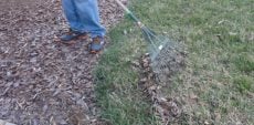How to Keep Mulch From Floating Out of Flower Beds (2024) | Today's ...