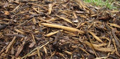 How to Keep Mulch From Floating Out of Flower Beds (2024) | Today's ...