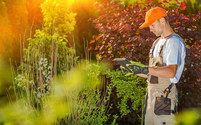 Lawn Doctor Review (2024)