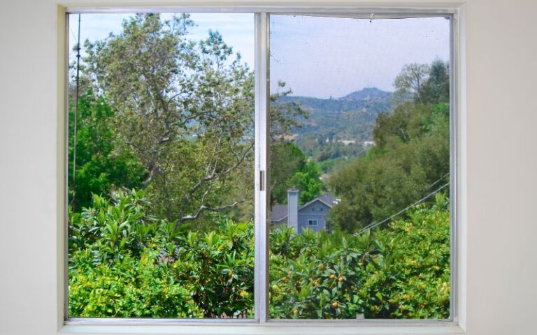 Champion Windows vs Window World: Which Replacement Windows Are Better ...