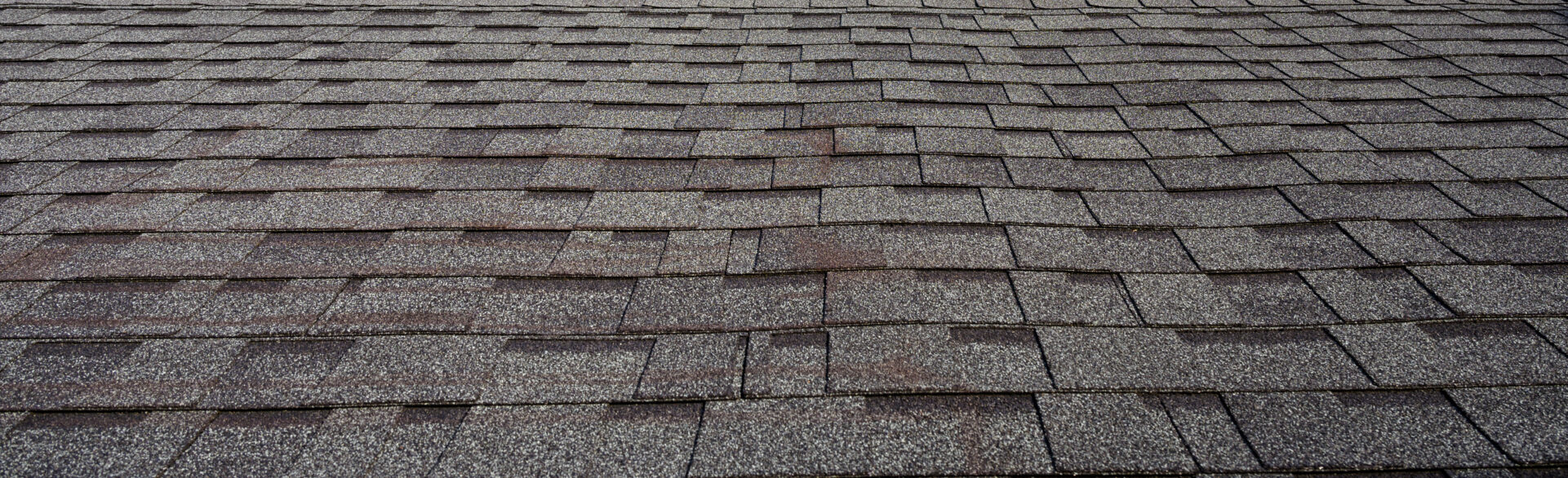 Timberline Shingles: Read This Before Buying (2024) | Today's Homeowner