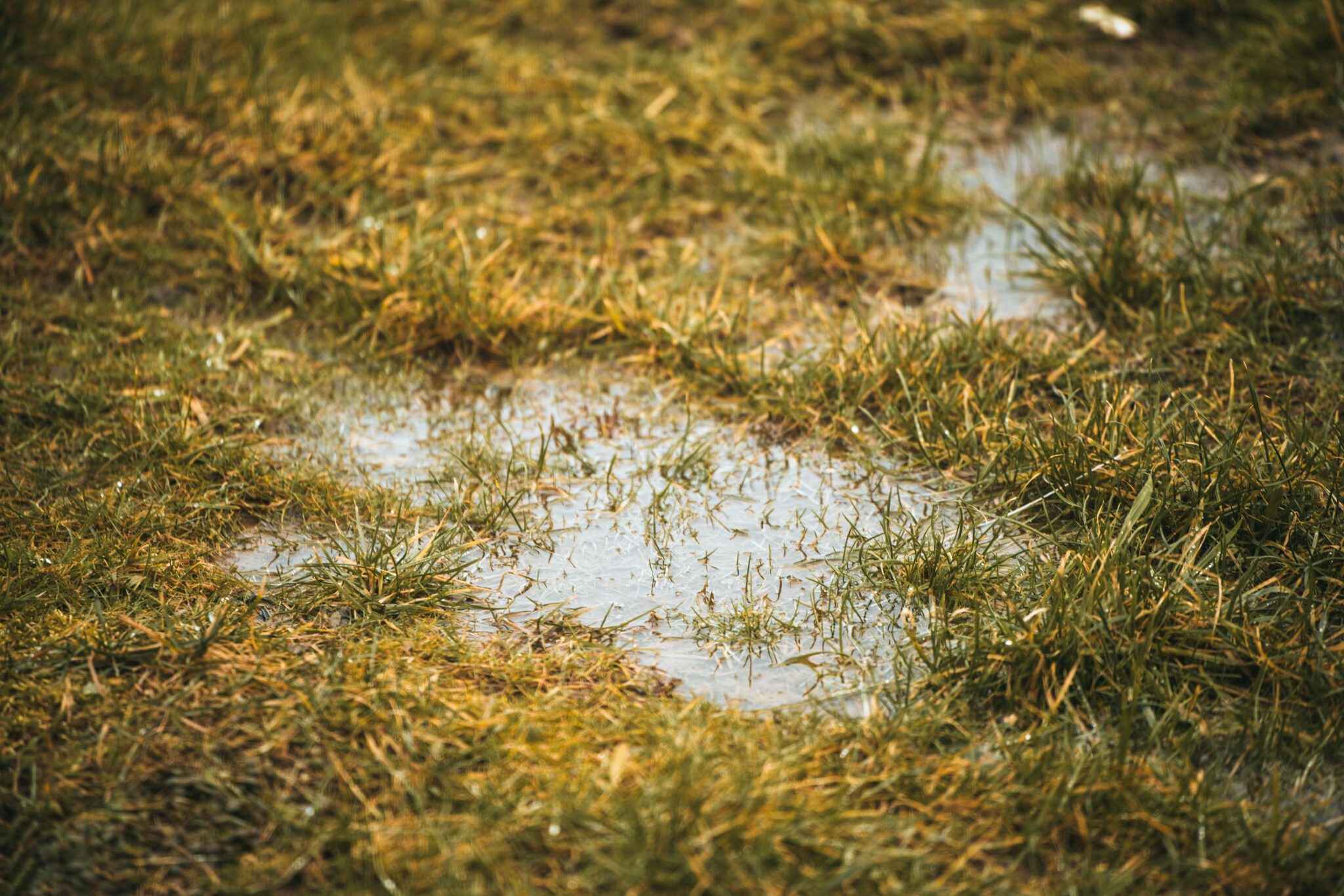 The 7 Best Outdoor Sump Pumps: A Comparison Guide (2024) | Today's ...