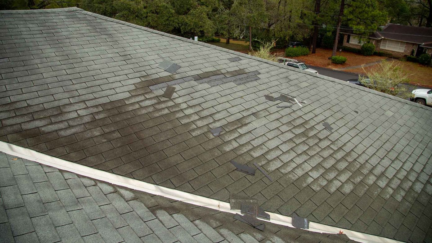 How to Remove and Prevent Black Algae Stains on Asphalt Shingle Roofs ...