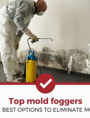 Best Exterminators for Mice (2024)