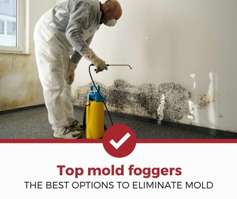 Top 5 Best Mold Foggers (2025) | Today's Homeowner