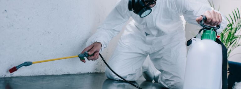 Top 5 Best Pet Safe Bug Sprays (2025) | Today's Homeowner