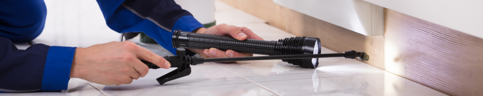 What Does Terminix Pest Control Cost? (2025) | Today's Homeowner