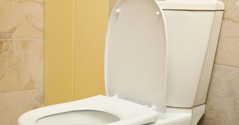 Water Ridge Toilets Review (2025) | Today's Homeowner