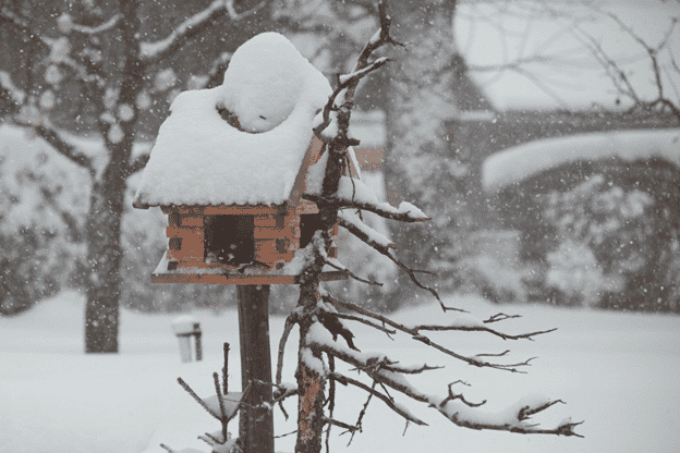 10 Winter Landscaping Ideas to Spruce Up Your Outdoor Space (2025 ...