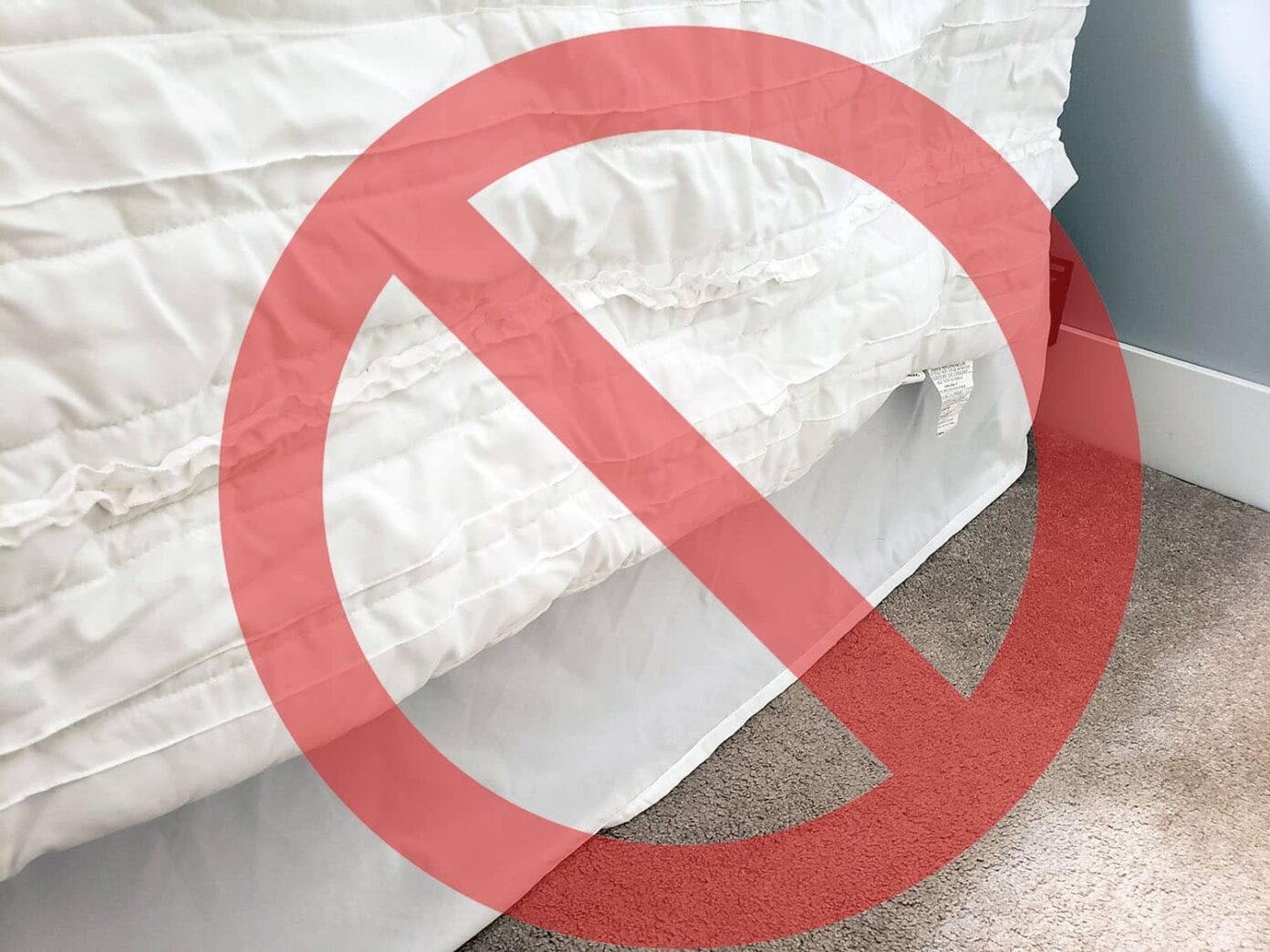 How to Get Rid of Bed Bugs (6 Steps) - Today's Homeowner (2024)