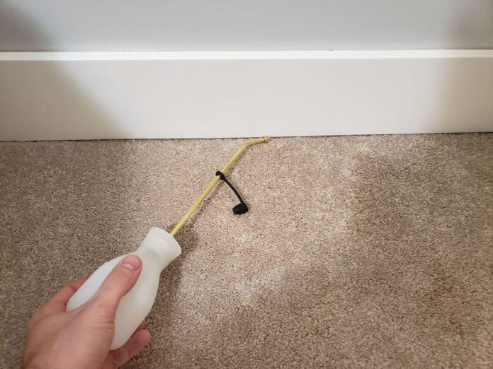 CimeXa Dust Review [Epic Bed Bug & Insect Killer] (2024) | Today's ...