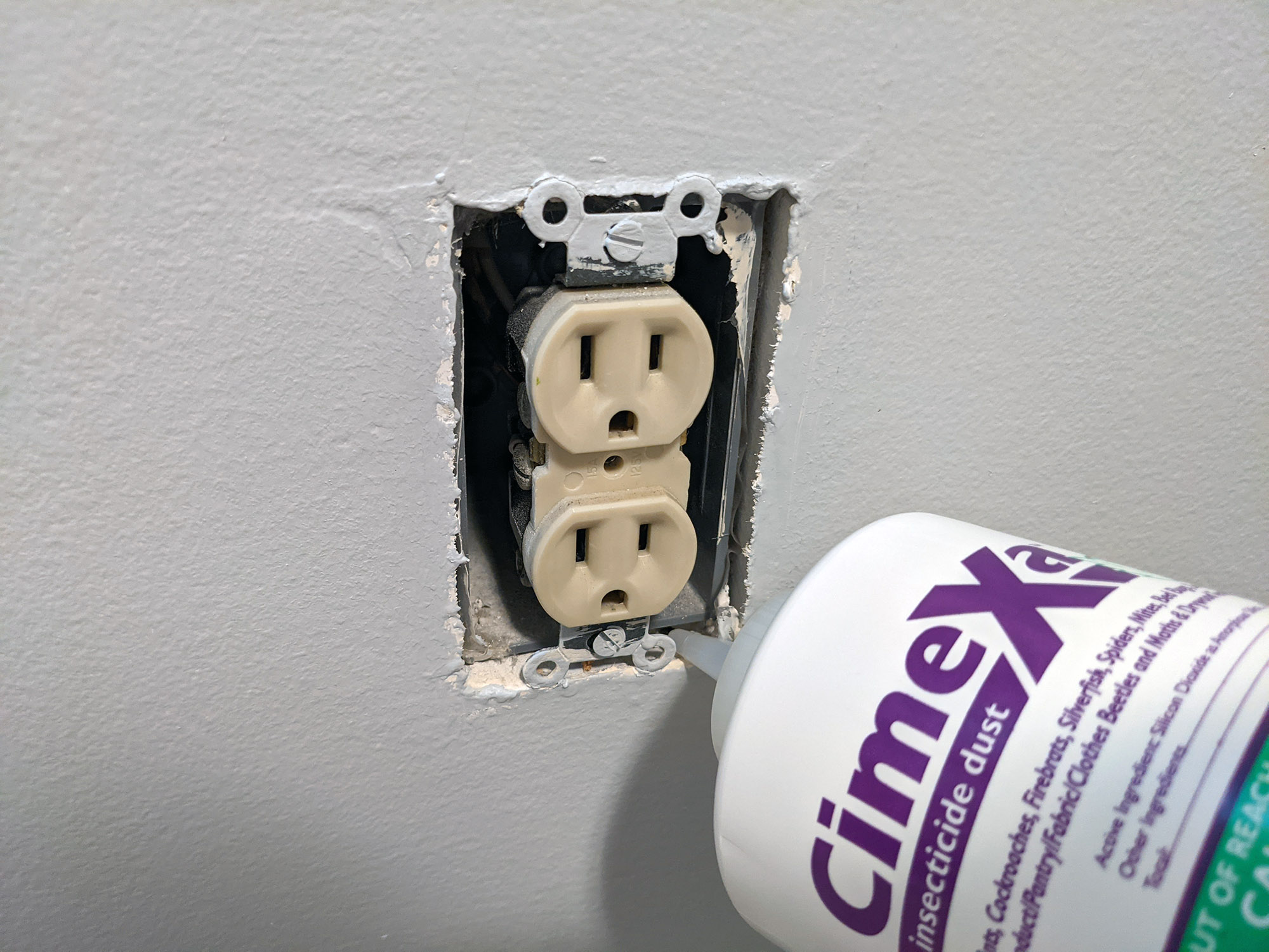 How To Get Rid of Bed Bugs in Walls (2024) | Today's Homeowner