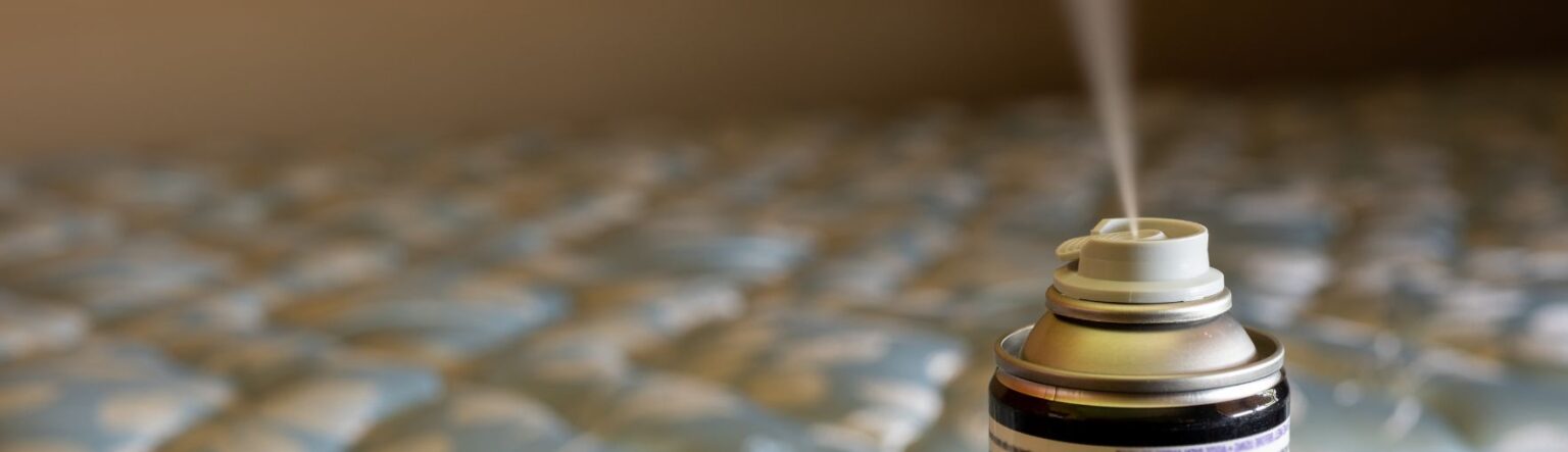 Best Flea Bombs Guide [DIY How-To] (2025) | Today's Homeowner