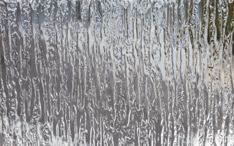 Champion Windows Review (Are They Worth It?) (2025) | Today's Homeowner