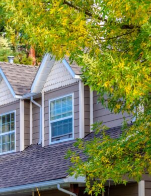 The 6 Best Gutter Guards for Snow and Ice (2024) | Today's Homeowner