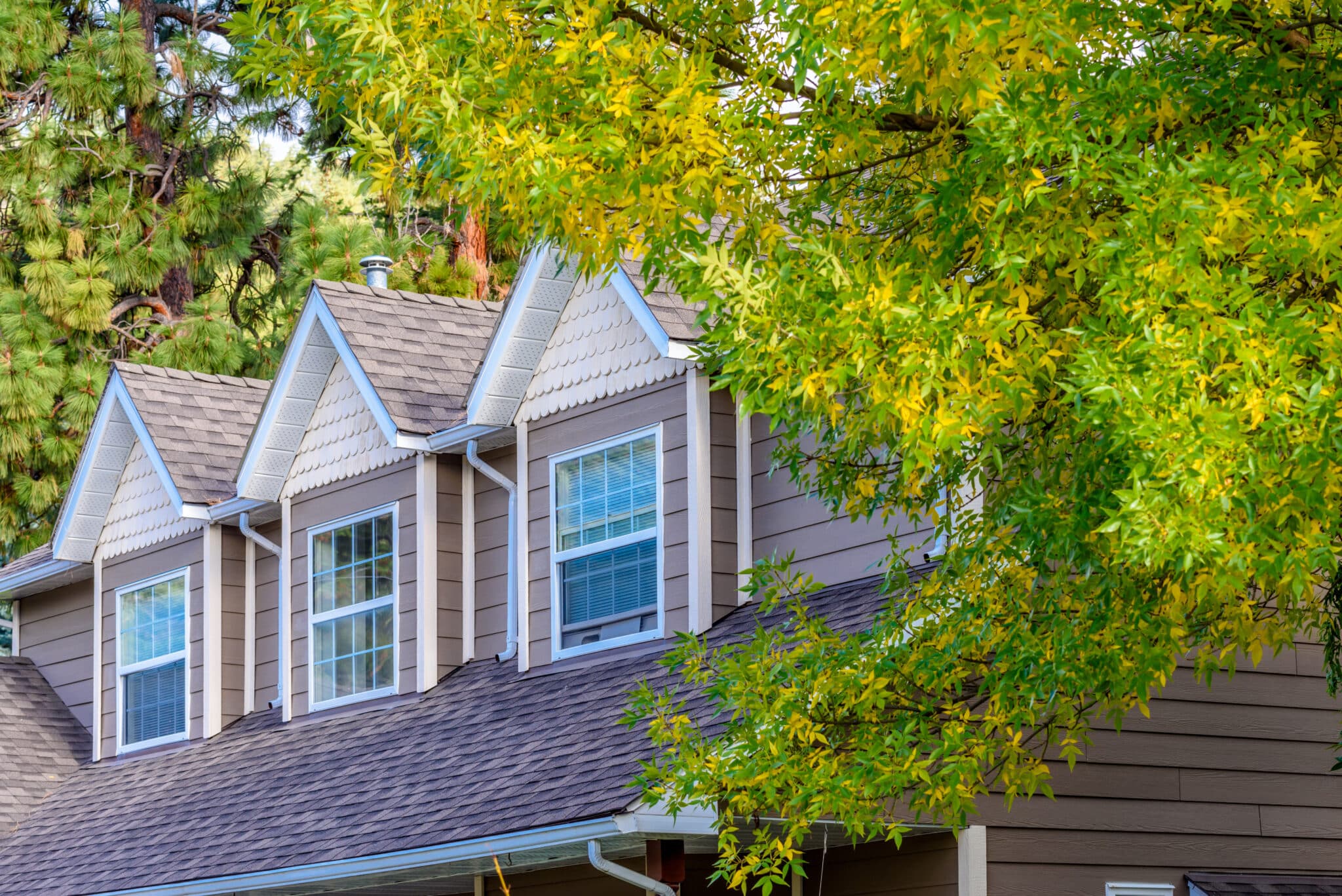 The 5 Best Snap-In Gutter Guards (2024) | Today's Homeowner