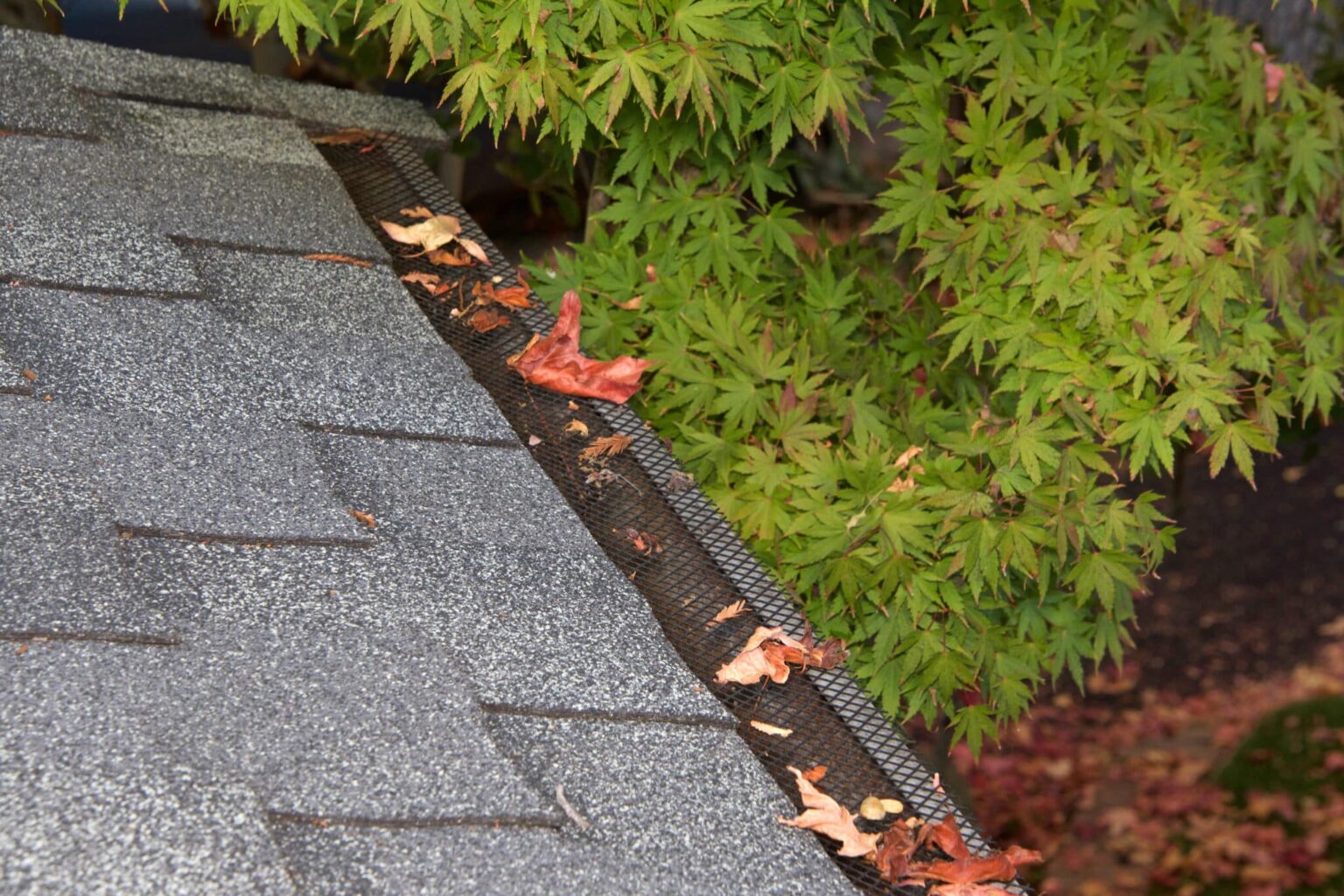 The Best 4-Inch Gutter Guards (2024) | Today's Homeowner