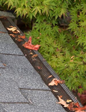 The 6 Best Gutter Guards for Snow and Ice (2024) | Today's Homeowner