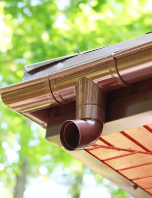 The Best 4-Inch Gutter Guards (2024) | Today's Homeowner