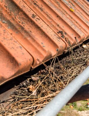 The 6 Best Gutter Guards for Snow and Ice (2024) | Today's Homeowner