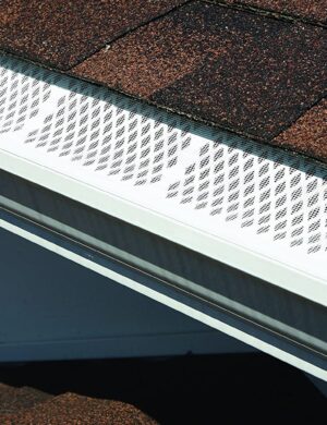 The 6 Best Gutter Guards for Snow and Ice (2024) | Today's Homeowner