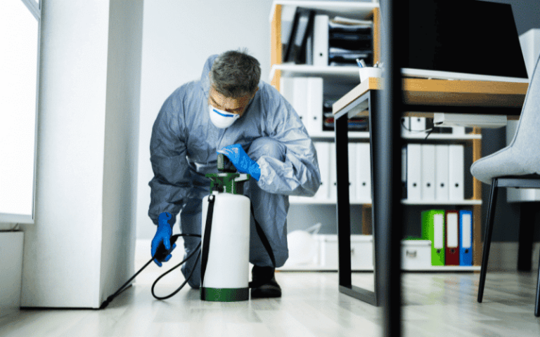 How Much Does a Cockroach Exterminator Cost? (2025 Homeowner's Guide)