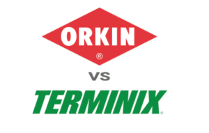 Orkin vs. Terminix (2024) | Today's Homeowner