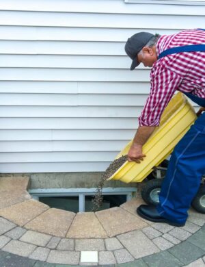 Andersen Windows Reviews (2024) | Today's Homeowner