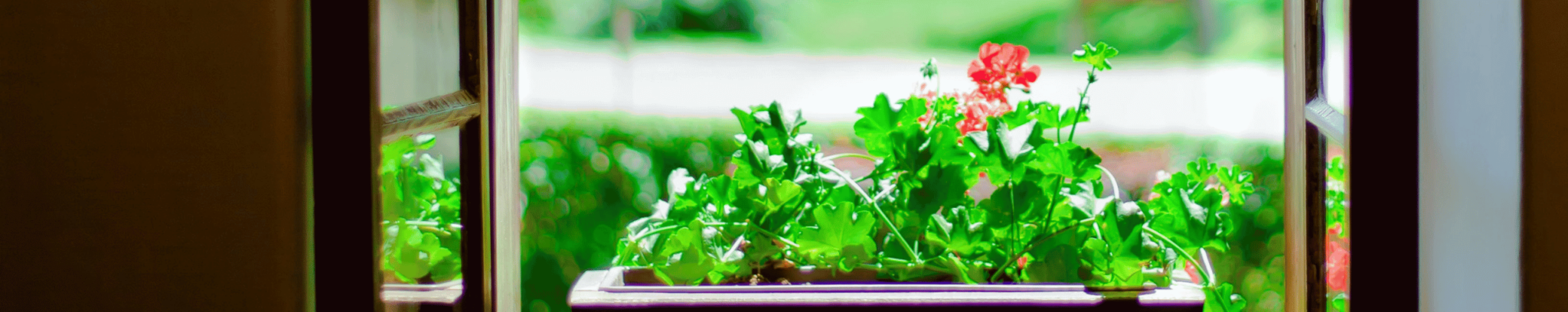 How Much Do Garden Windows Cost (2024) | Today's Homeowner