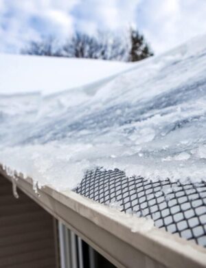 The Best 4-Inch Gutter Guards (2024) | Today's Homeowner