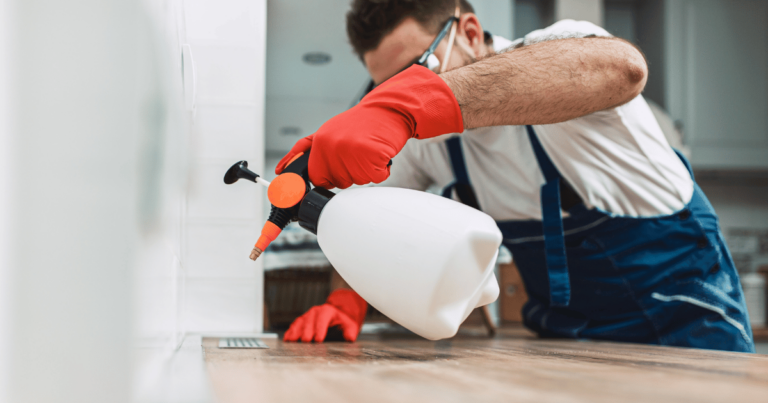 Top 7 Best Pest Control Companies (2024)