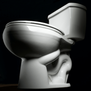 How Does a Toilet Siphon Work? (2025) | Today's Homeowner