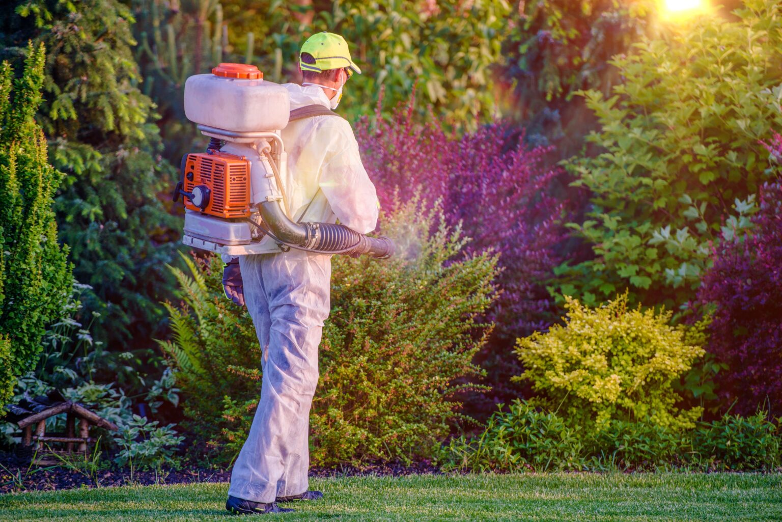 Top 7 Best Pest Control Companies (2024)