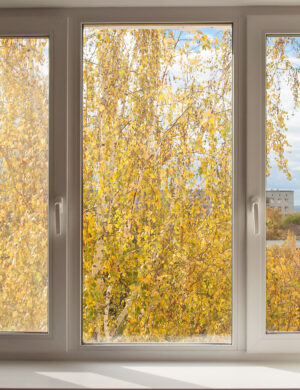 Top 5 Best Vinyl Windows (Costs & Ratings) (2024) | Today's Homeowner