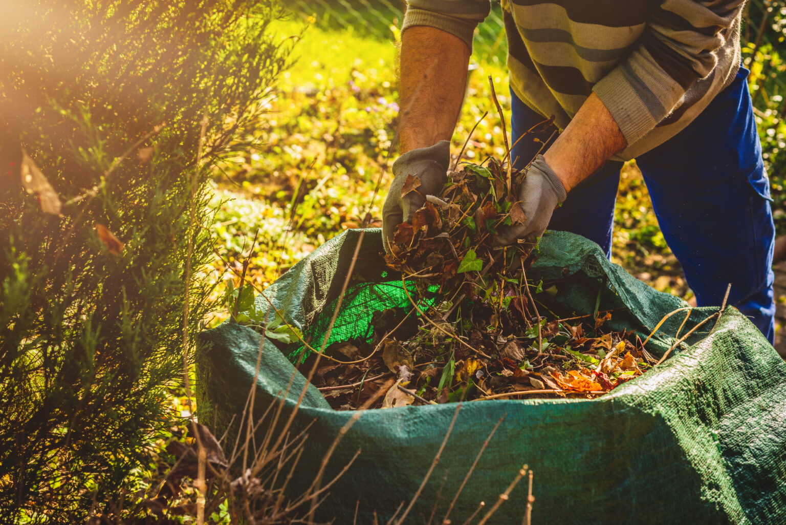 The Complete Guide to Yard Waste Disposal (2025) | Today's Homeowner