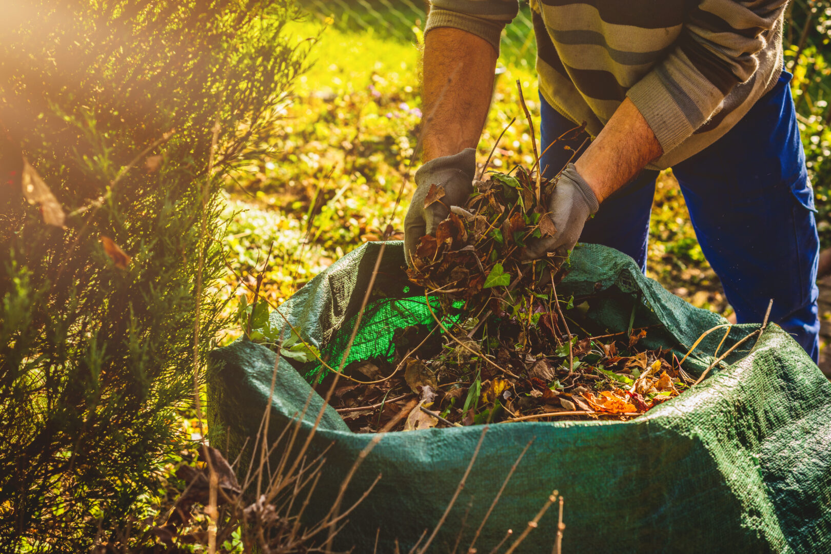 The Complete Guide to Yard Waste Disposal (2025) | Today's Homeowner