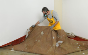 How to Replace Carpet in 6 Steps (2024)