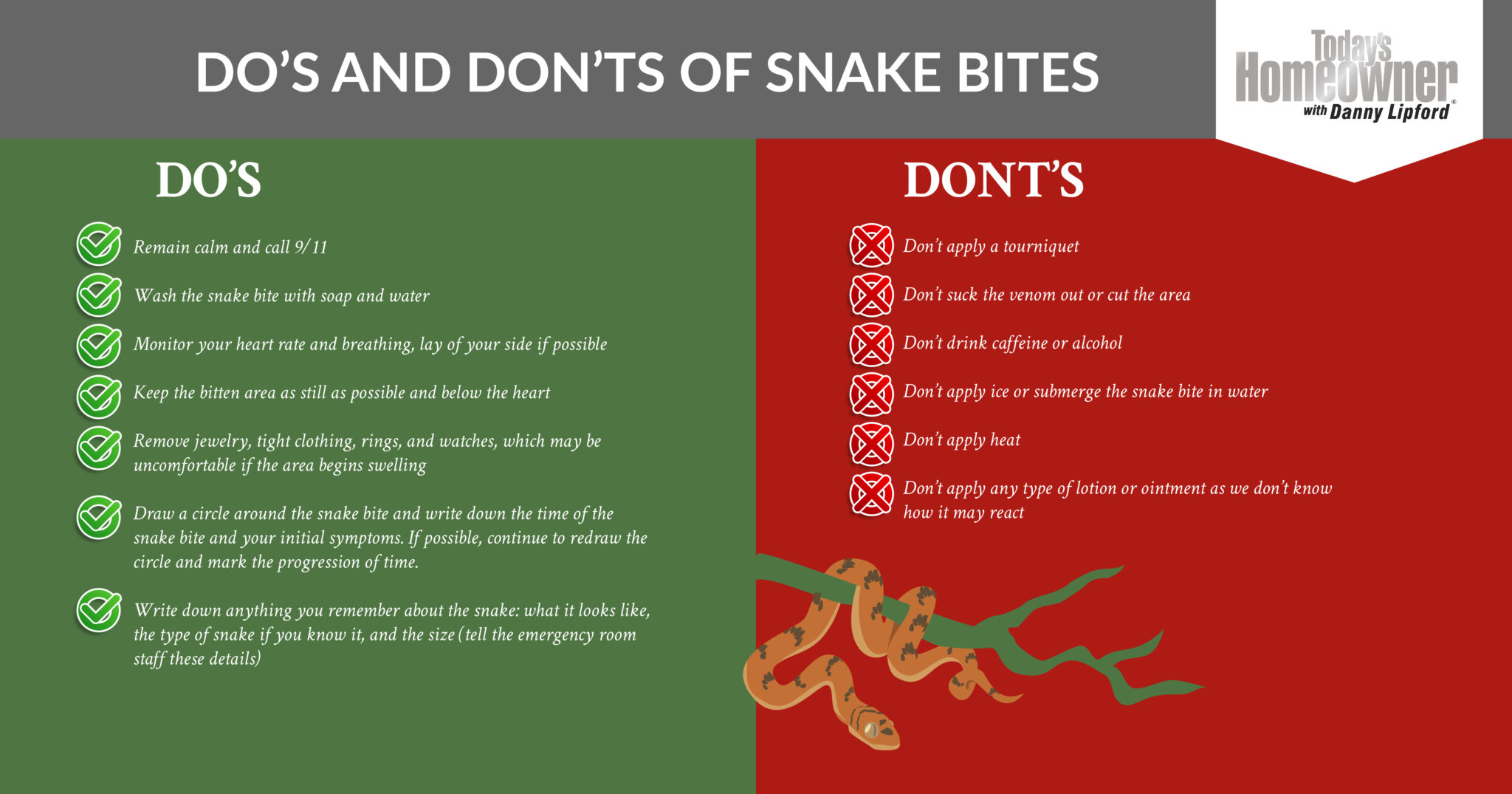 A Guide to Snake Safety For Your Home (2024) | Today's Homeowner