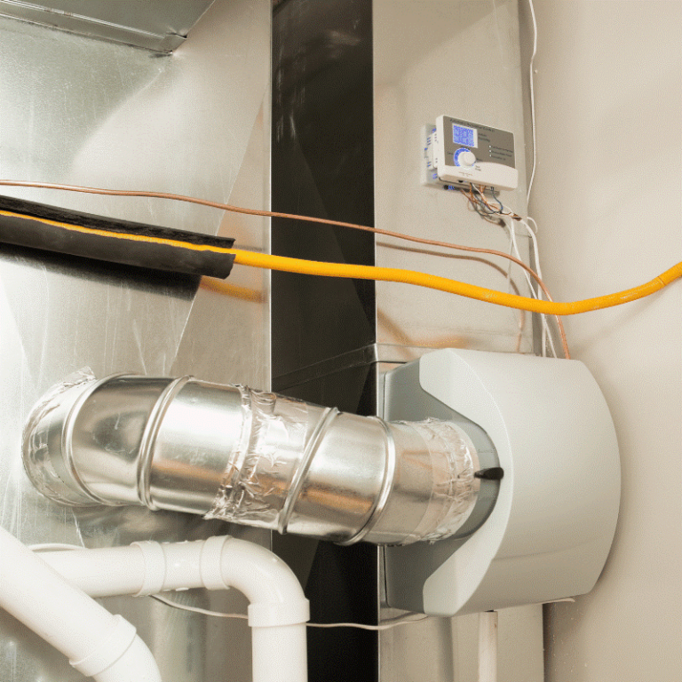 What Is the Ideal Humidity Level for Your Home? (2025) | Today's Homeowner