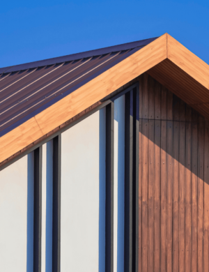 13 Hardie Board and Batten Siding Ideas (2024) | Today's Homeowner