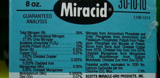How to Correct Soil pH in Your Yard (2024) | Today's Homeowner