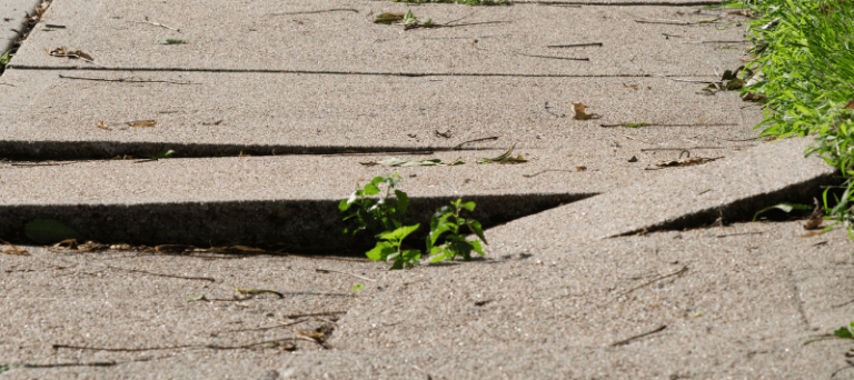 What to Do About a Sidewalk Damaged By Tree Roots (2025) | Today's ...