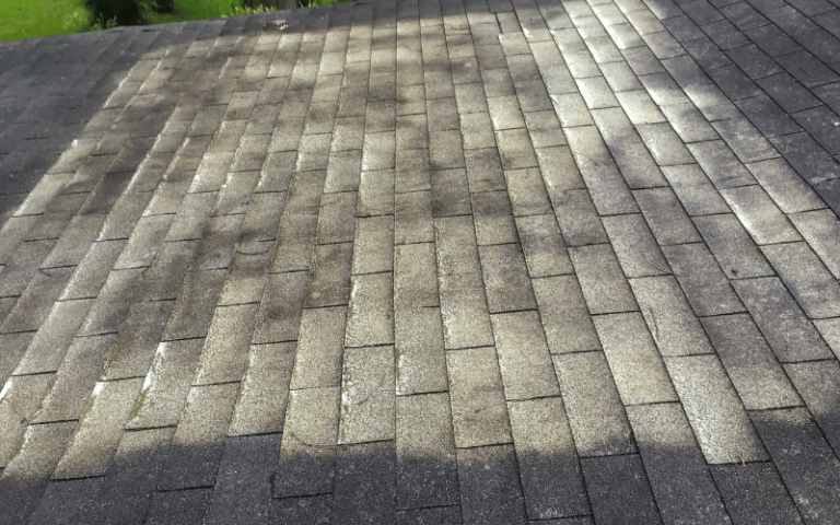 How to Clean Mold Off Roof Shingles (2024) | Today's Homeowner