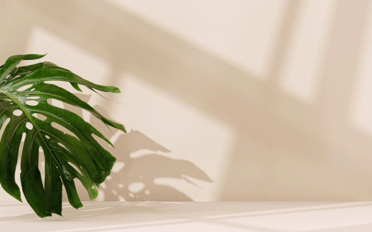 5 Paint Colors That Go with Saltillo Tile (2025) | Today's Homeowner