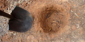 DIY Soil Drainage Perk Test for Your Yard (2025) | Today's Homeowner